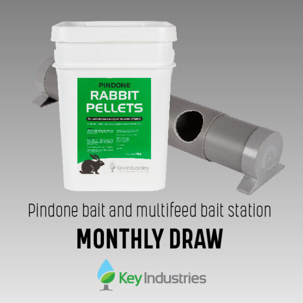 Members - Rabbit Watch